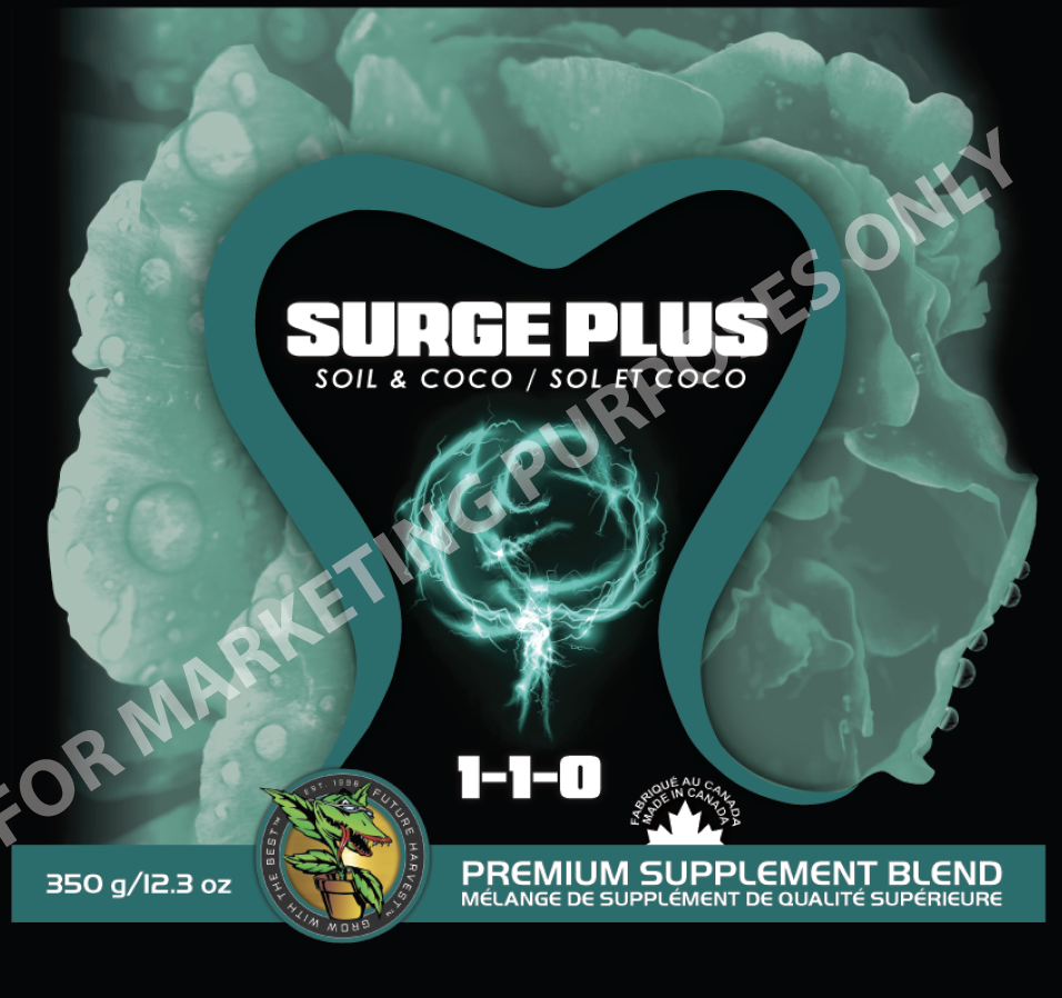 Surge Plus - QualiCan QAP Services Inc.