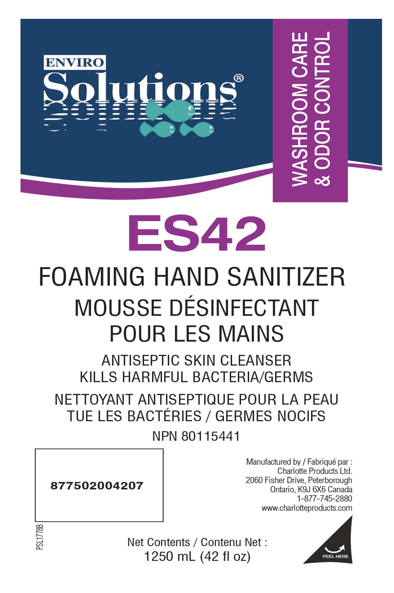 ES42 Foaming Hand Sanitizer - QualiCan QAP Services Inc.